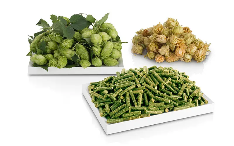 Pellet hops vs whole hops: cerveceros | ORI ALNITAK