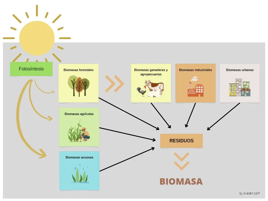 Biomasa: energía renovable y sus fuentes | ORI ALNITAK