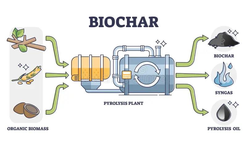 Biomasa pirólisis: energía sostenible e innovación | ORI ALNITAK