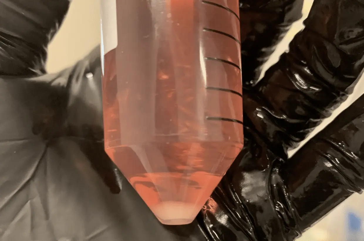 El significado de cell pellet en investigación científica | ORI ALNITAK